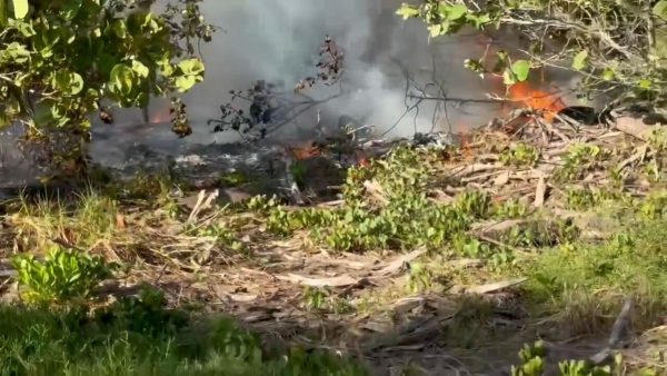 Fire Breaks Out on Egmont Key, Black Smoke Visible Across Tampa Bay Waters